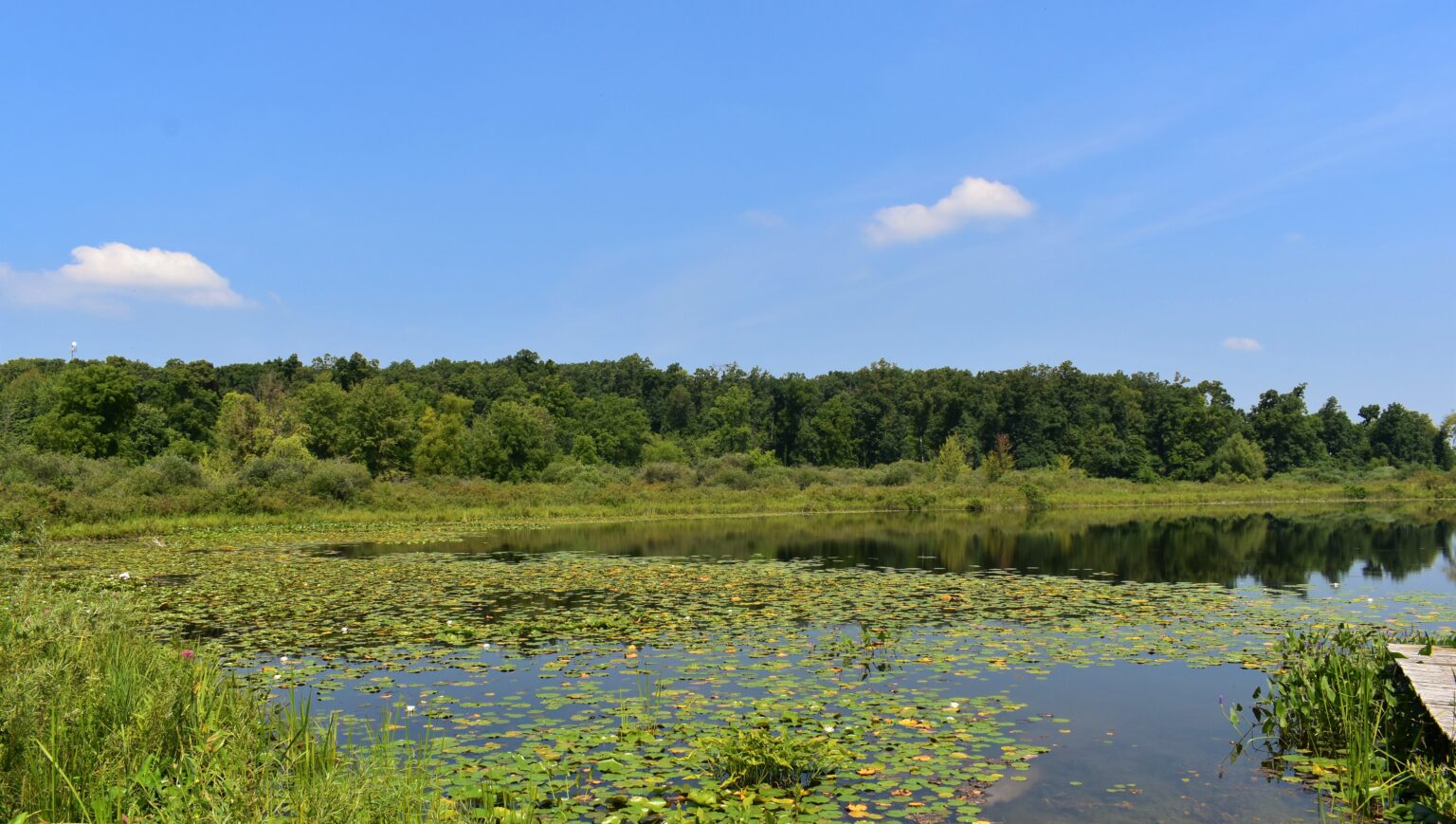 Celebrating and Preserving Northeast Indiana's Outdoors - INRF