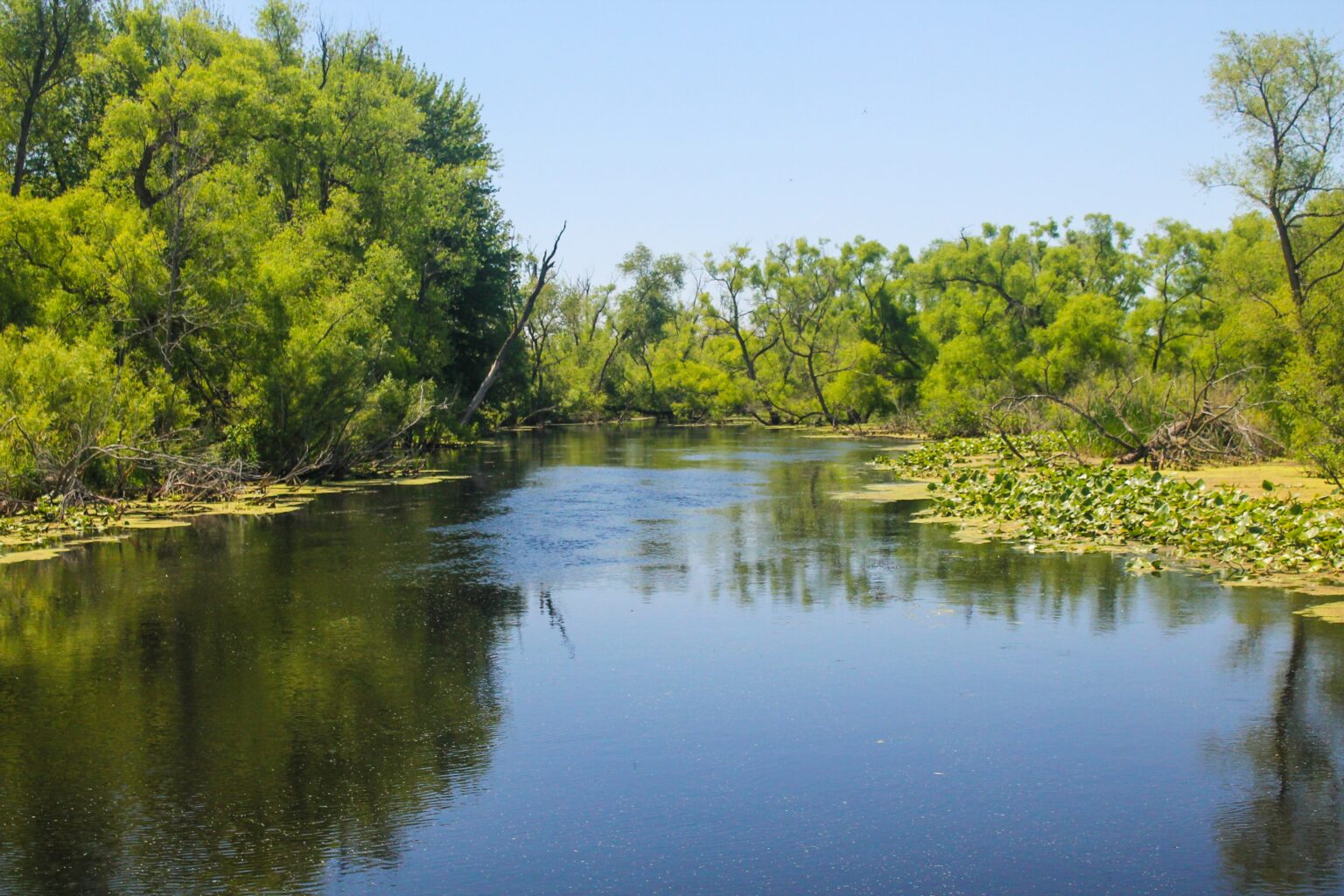 Expanding Indiana's Public Lands - INRF